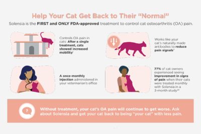 Solensia - Vet in Willits | East Hill Veterinary Clinic